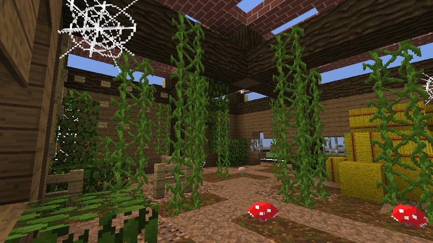 1st Plot Build Minecraft Map