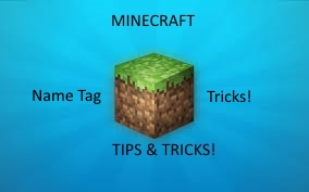 Minecraft Tips and Tricks #1-Name tricks