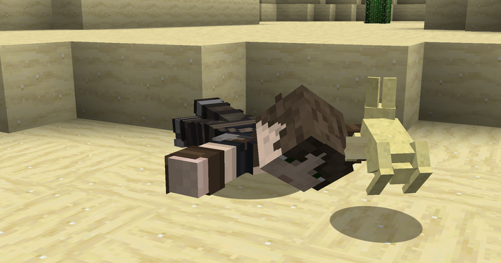 EasyCrawl [1.19+] Minecraft Data Pack