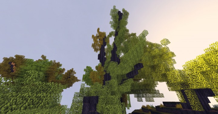 Better Swamp Minecraft Map