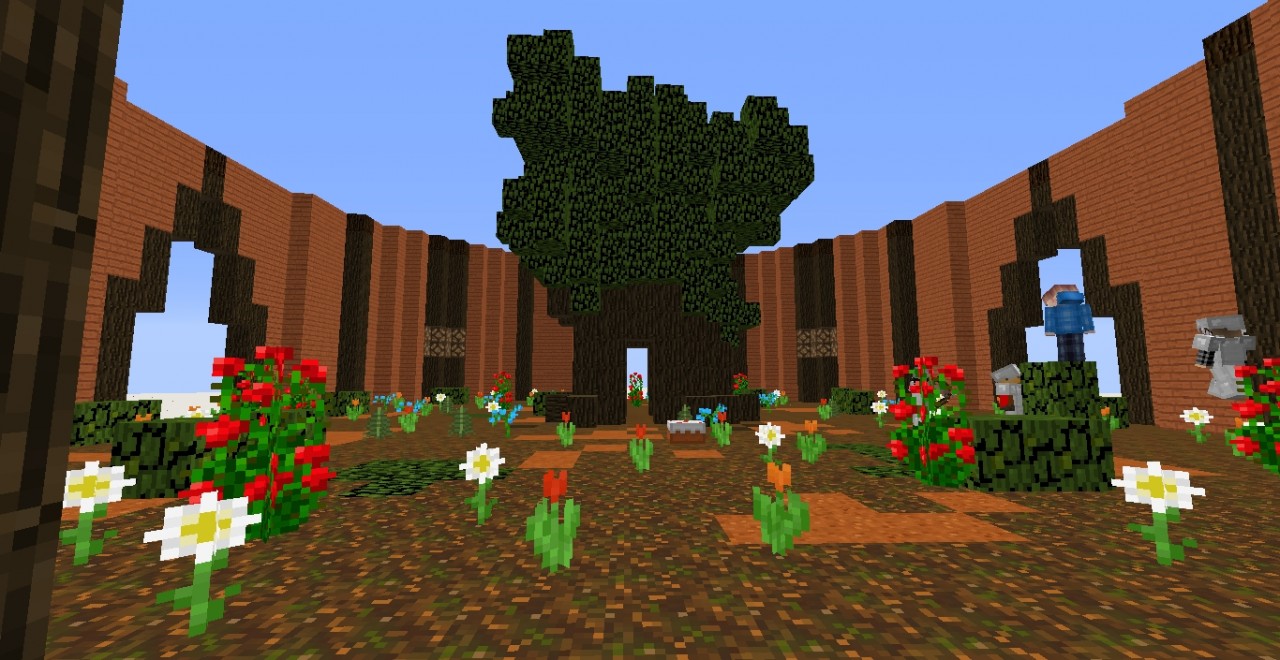 Opinions, Random Build Minecraft Map