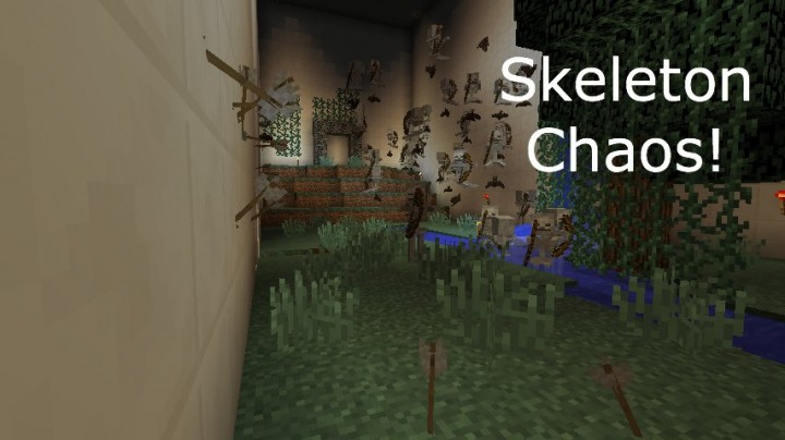 Skeleton Shootout Minecraft Map