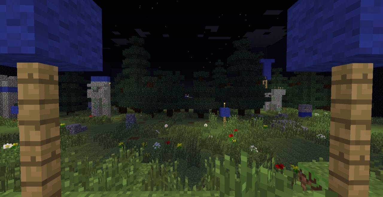Forest Capture the Flag Minecraft Map
