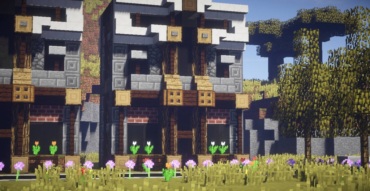 Town House Minecraft Map