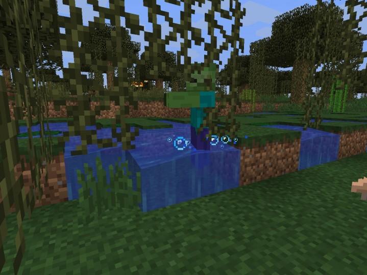 swamp survival Minecraft Map
