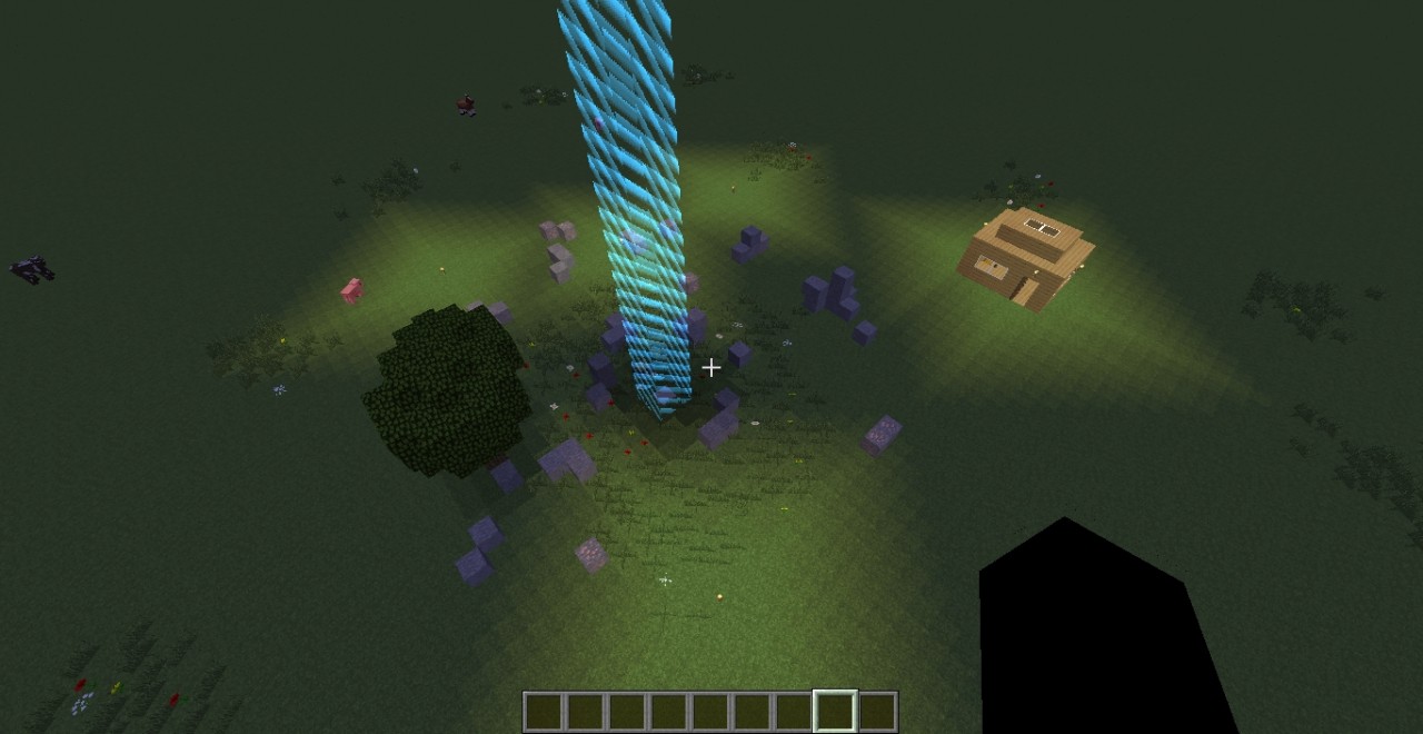 WorldBorder Survival Minecraft Project