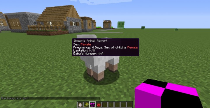 Breeding Realism [FORGE 1.8] (Genders, Pregnancy, Bottlefeeding, and ...