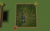 Leaf Maze [Difficulty - Hard] Minecraft Map