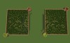 Leaf Maze [Difficulty - Hard] Minecraft Map