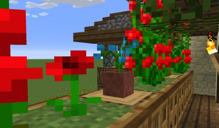 Bavarian/Austrian House (Download) Minecraft Map