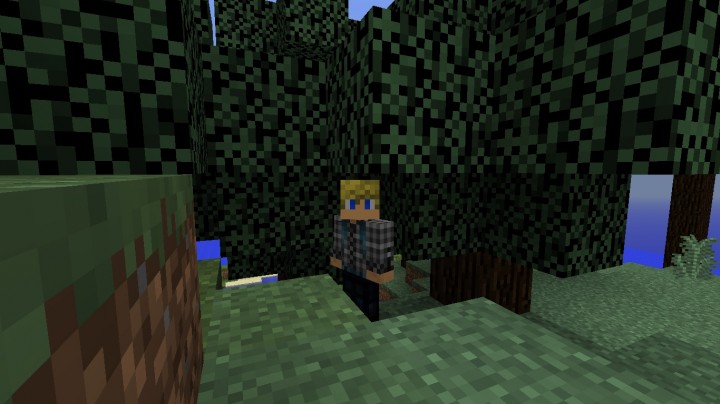 Minecraft World Minecraft Map