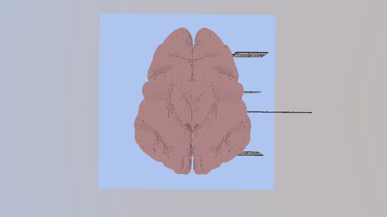 Brain [Anatomy] Minecraft Map