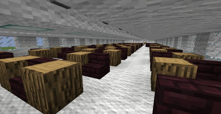 Boeing 787-8 Minecraft Map