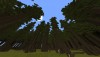 Custom Fir Roofed Forest Minecraft Map