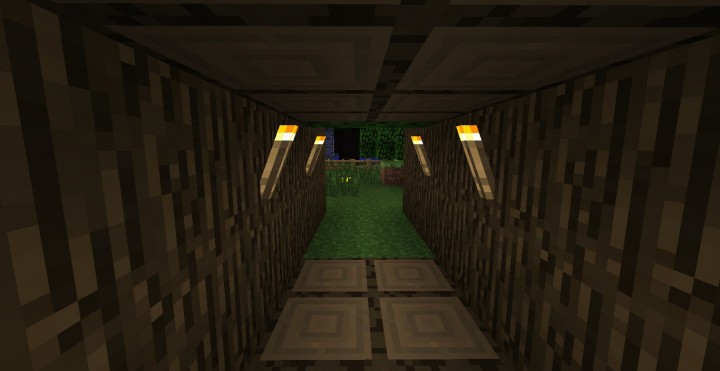 Dark Oak Mountain House:Part One Minecraft Map