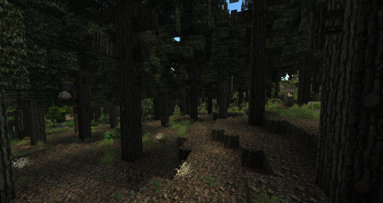 Realistic Dark Pine Forest [World of Targur] Minecraft Map