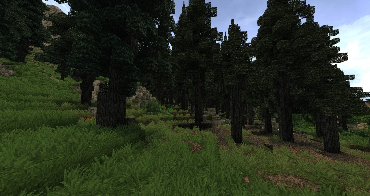 Realistic Dark Pine Forest [World of Targur] Minecraft Map
