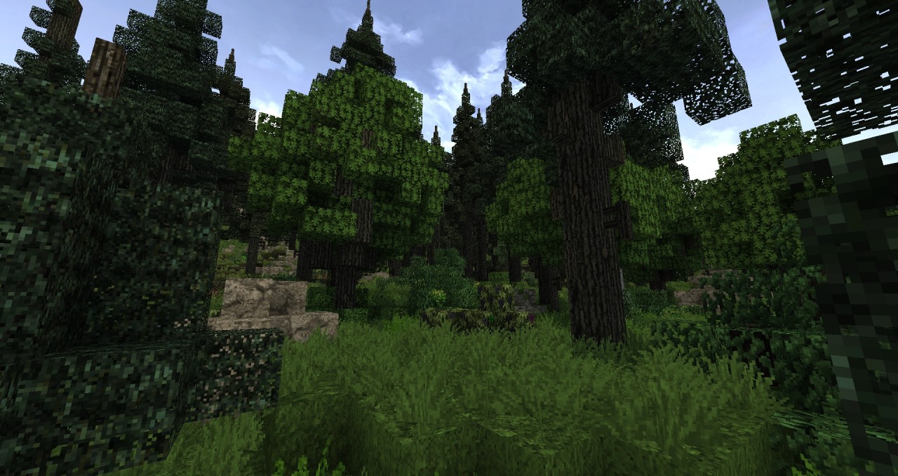 Realistic Dark Pine Forest [World of Targur] Minecraft Map