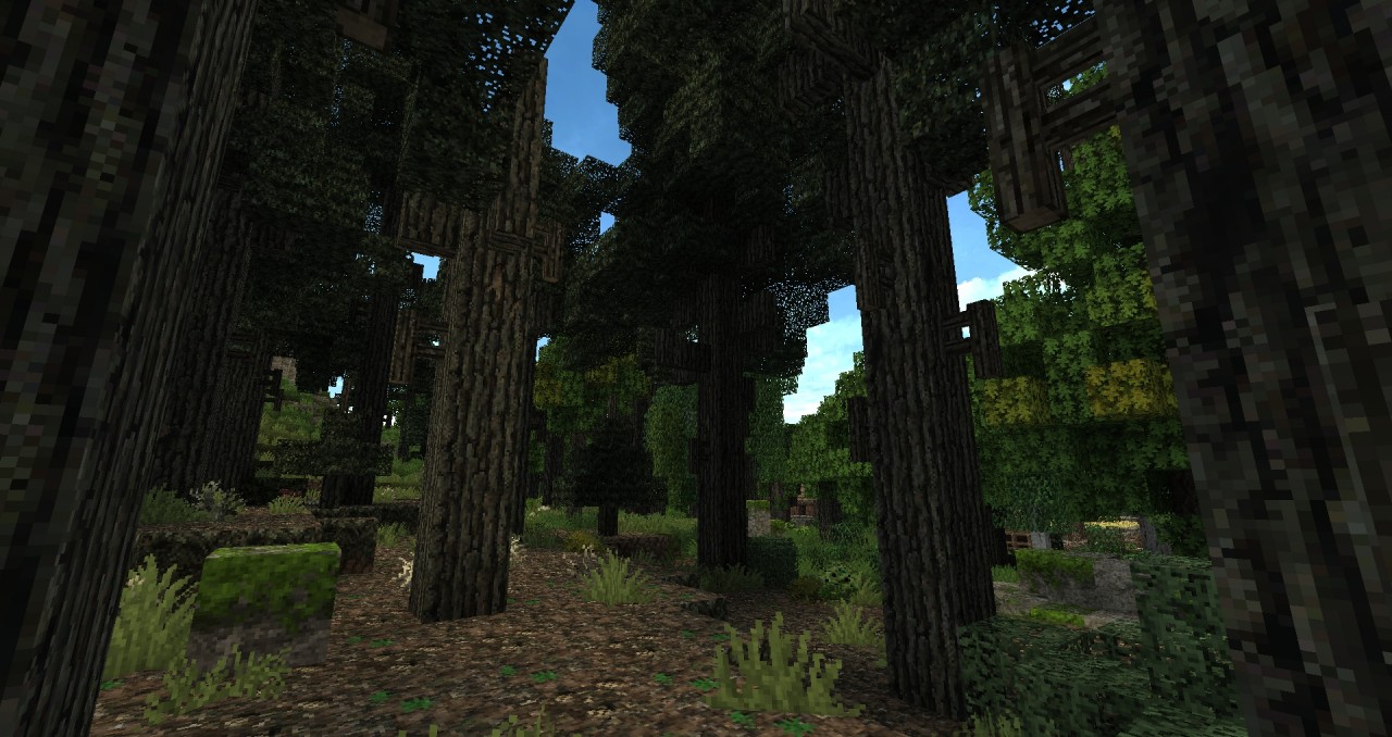 Realistic Dark Pine Forest [World of Targur] Minecraft Map