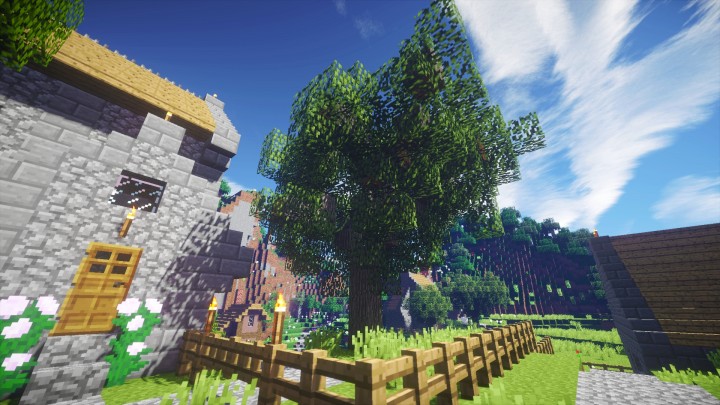 Tree Schematic: Kiggelaria Africana (Wild Peach) Minecraft Map