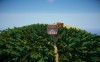 Colonial Farm Minecraft Map