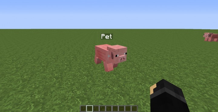 Custom Pets in Vanilla Minecraft | Only One Command Minecraft Map