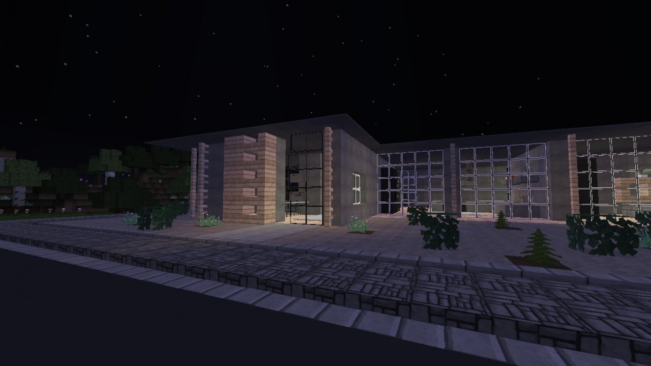 Modern House (Stone and birch wood) Minecraft Map