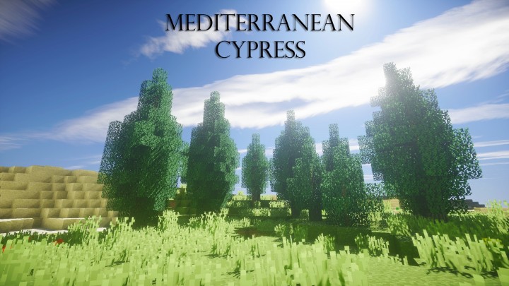 Tree Schematic: Mediterranean Cypress Minecraft Project