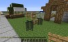 Minecraft Bicycle Minecraft Map