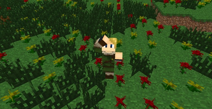 The Video Game (Demo) Minecraft Map