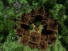 Small Cozy Spawning Area Minecraft Map