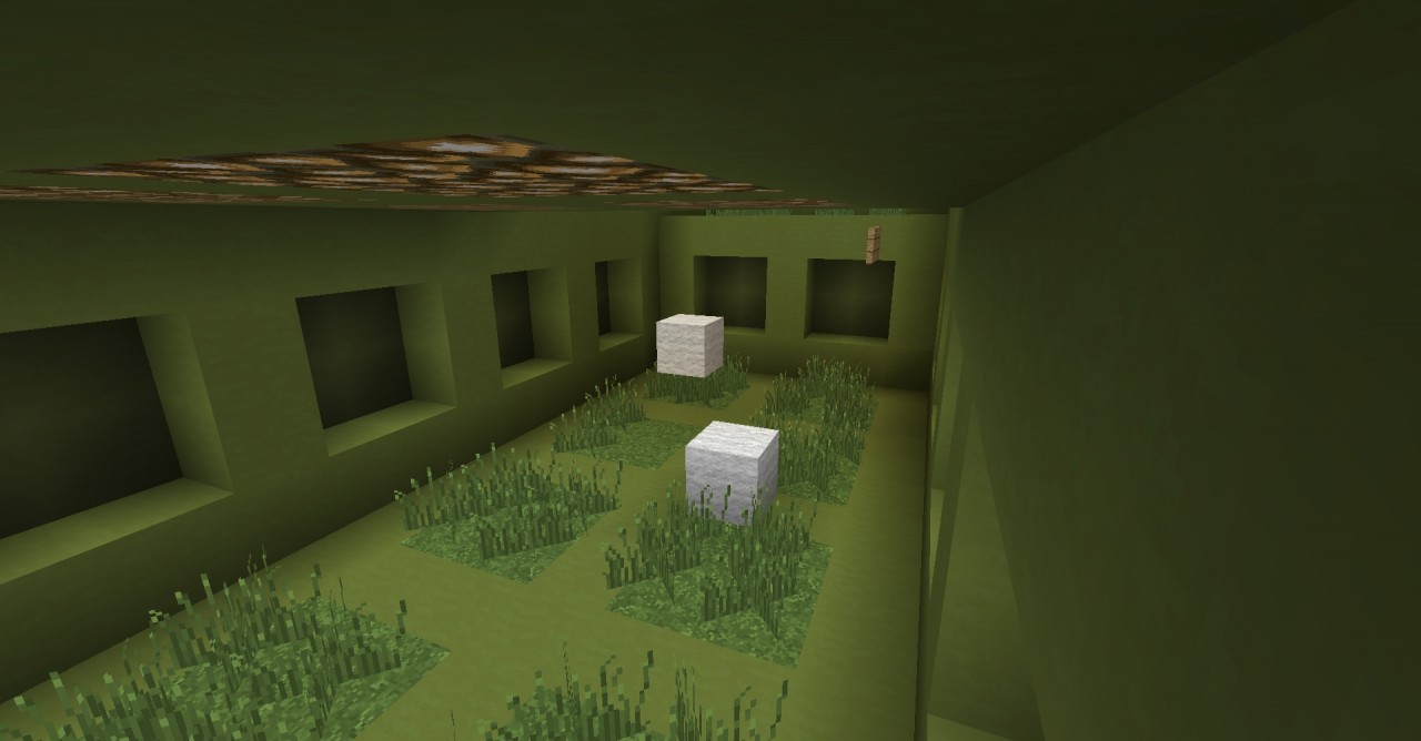 The Puzzle Cubes (Minigame Maddness) Minecraft Map