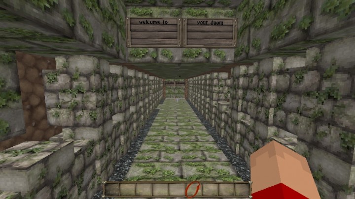 The Mob Maze Minecraft Map