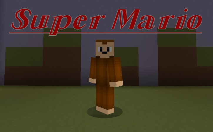 Super Mario Minecraft Map