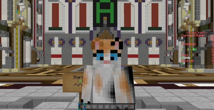 EpicCraft|OP Prison|Need staff|Semi-Custom Coded| Minecraft Server