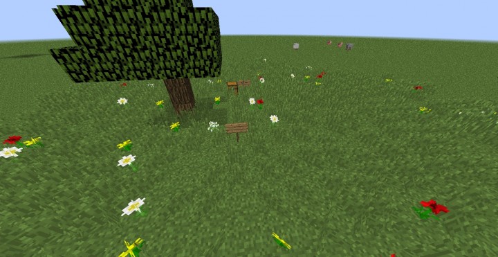 Super Flat Survival Minecraft Map