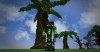 Rex´s Tree Pack Minecraft Map