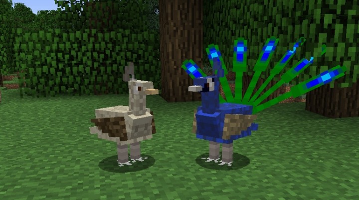 [1.8][1.7.10] Exotic Birds Minecraft Mod