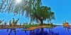God Willow Tree Tutorial Minecraft Map