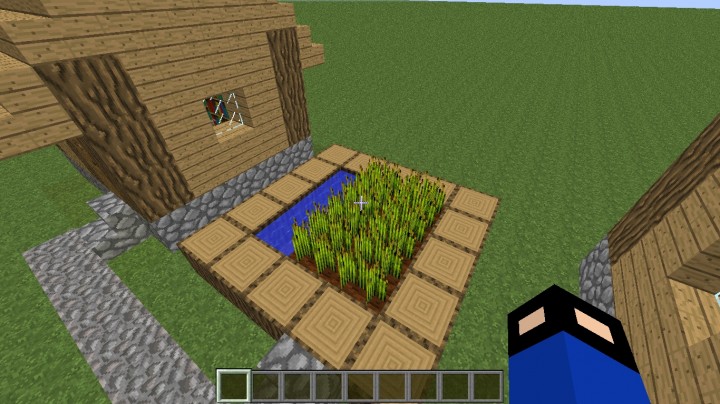 Mini NPC Village (custom) V 1.0 Minecraft Map