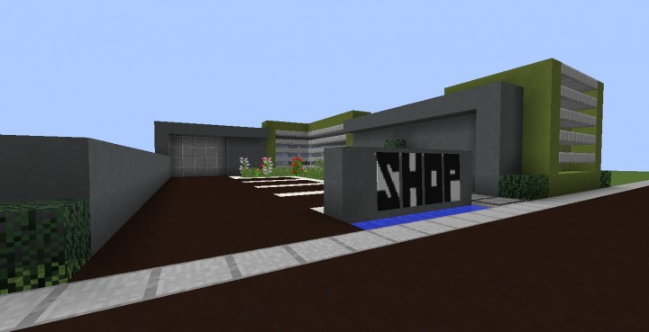 Small store Minecraft Map