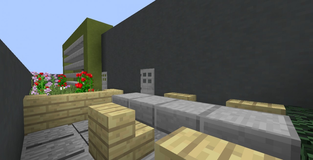 Small store Minecraft Map