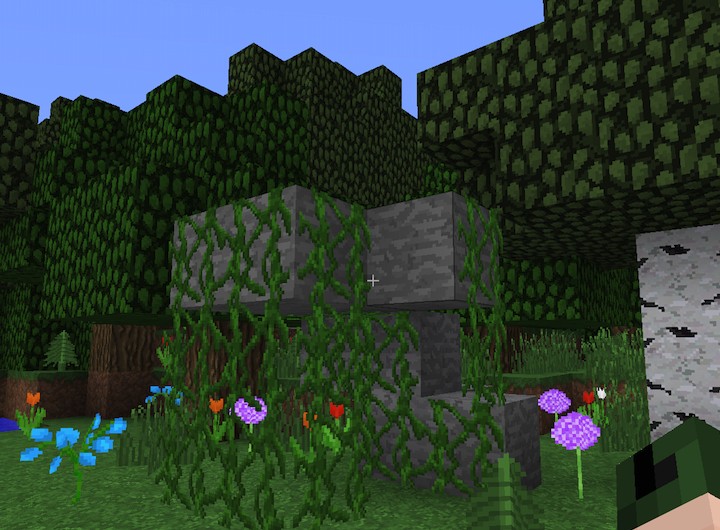 Forest Clearing ~ Minecraft Map