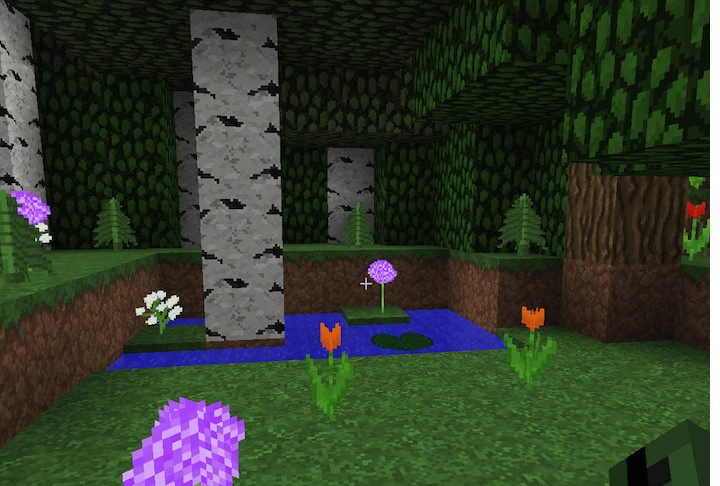 Forest Clearing ~ Minecraft Map