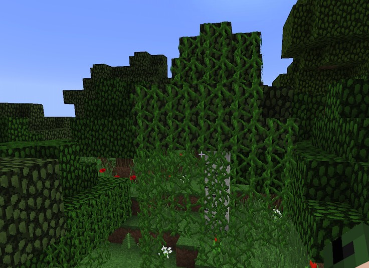 Forest Clearing ~ Minecraft Map
