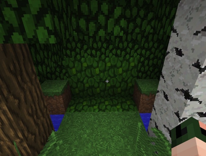 Forest Clearing ~ Minecraft Map