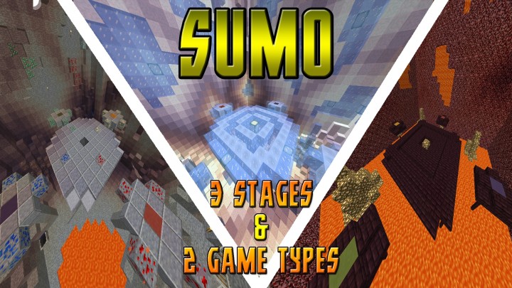 Sumo - By Venatic Minecraft Map