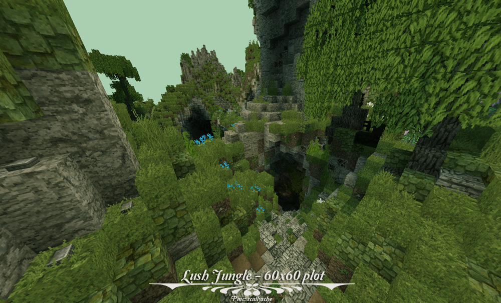 Lush Jungle [60x60 plot by scallysche] Minecraft Map