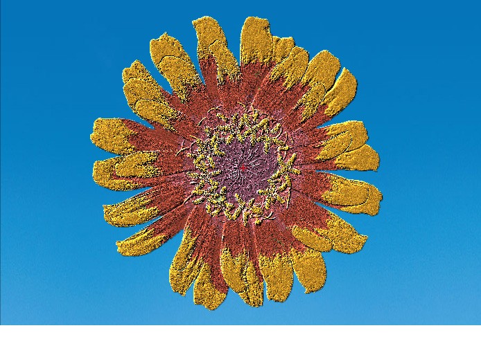 Flower Power Minecraft Map