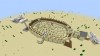 Desert Arena Minecraft Map